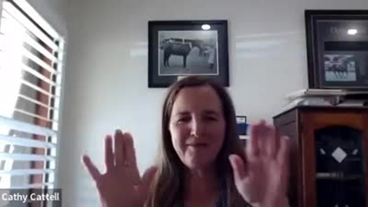 Cathy sells 72 properties last quarter and write 1mill in GCI