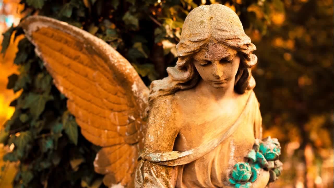 Q # 12 - 30 Days of Insight