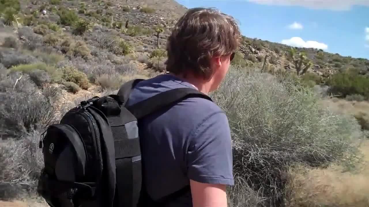 Q # 9 - 30 Days of Insight