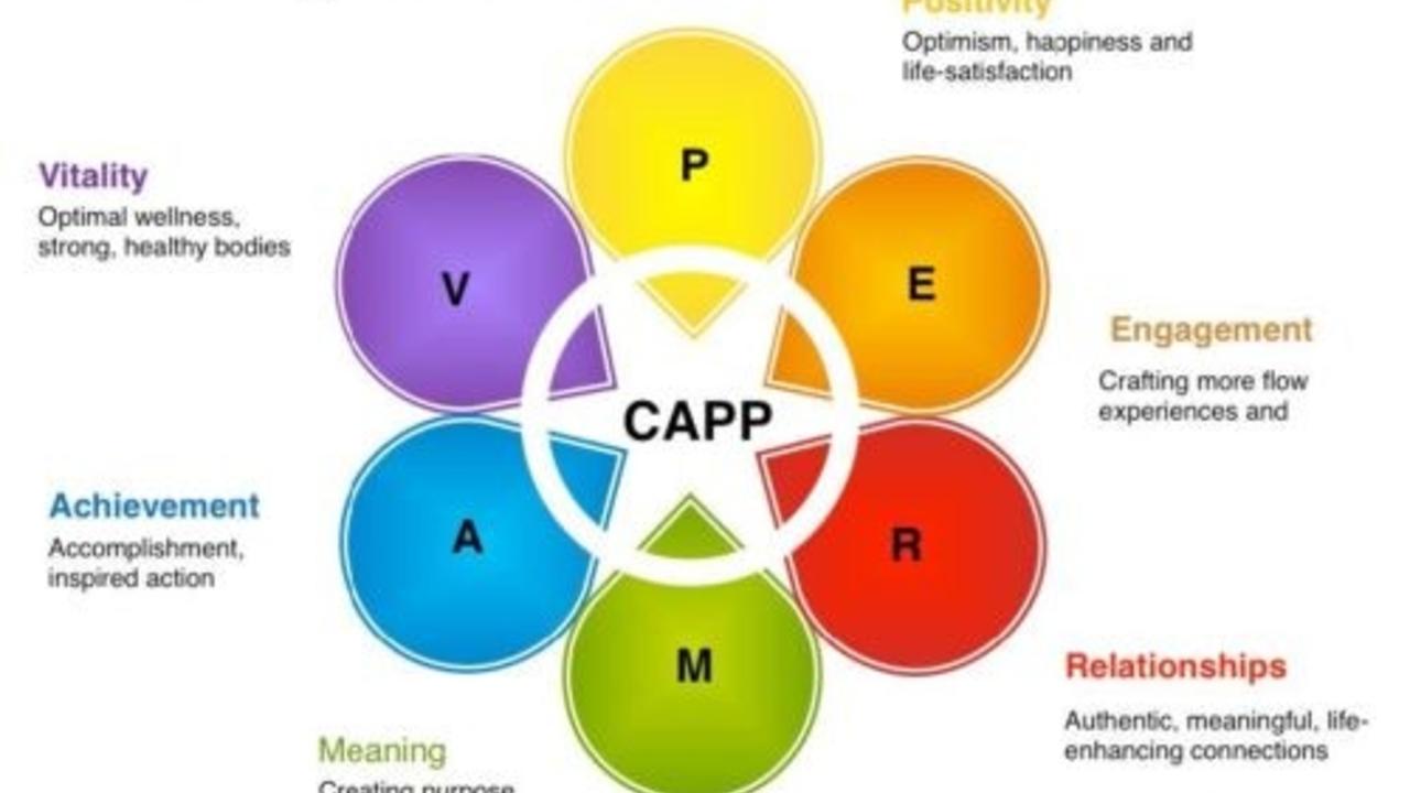 Defining Positive Psychology and the PERMA-V Model