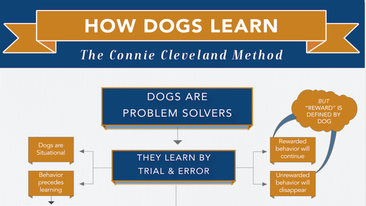 How Dogs Learn How Dogs Learn