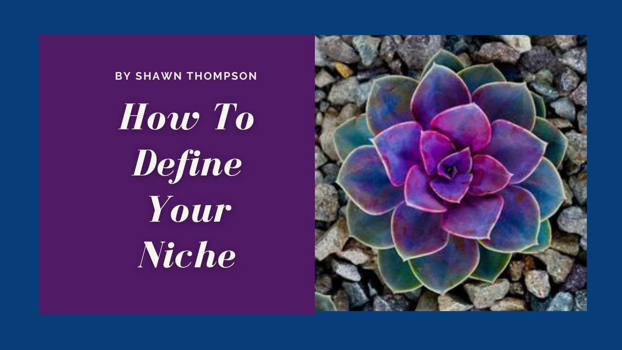How To Define Your Niche