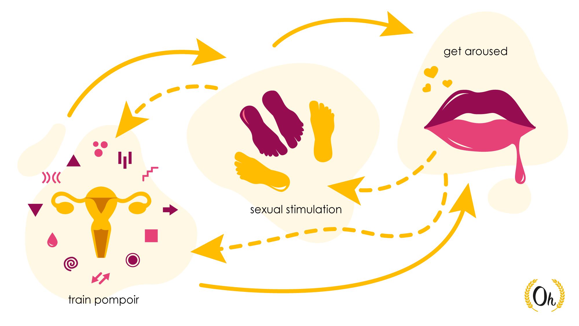 Orgasm Contractions How Pelvic Floor Training Can Increase Pleasure Orgasm Contractions How Pelvic Floor Training Can Increase Pleasure