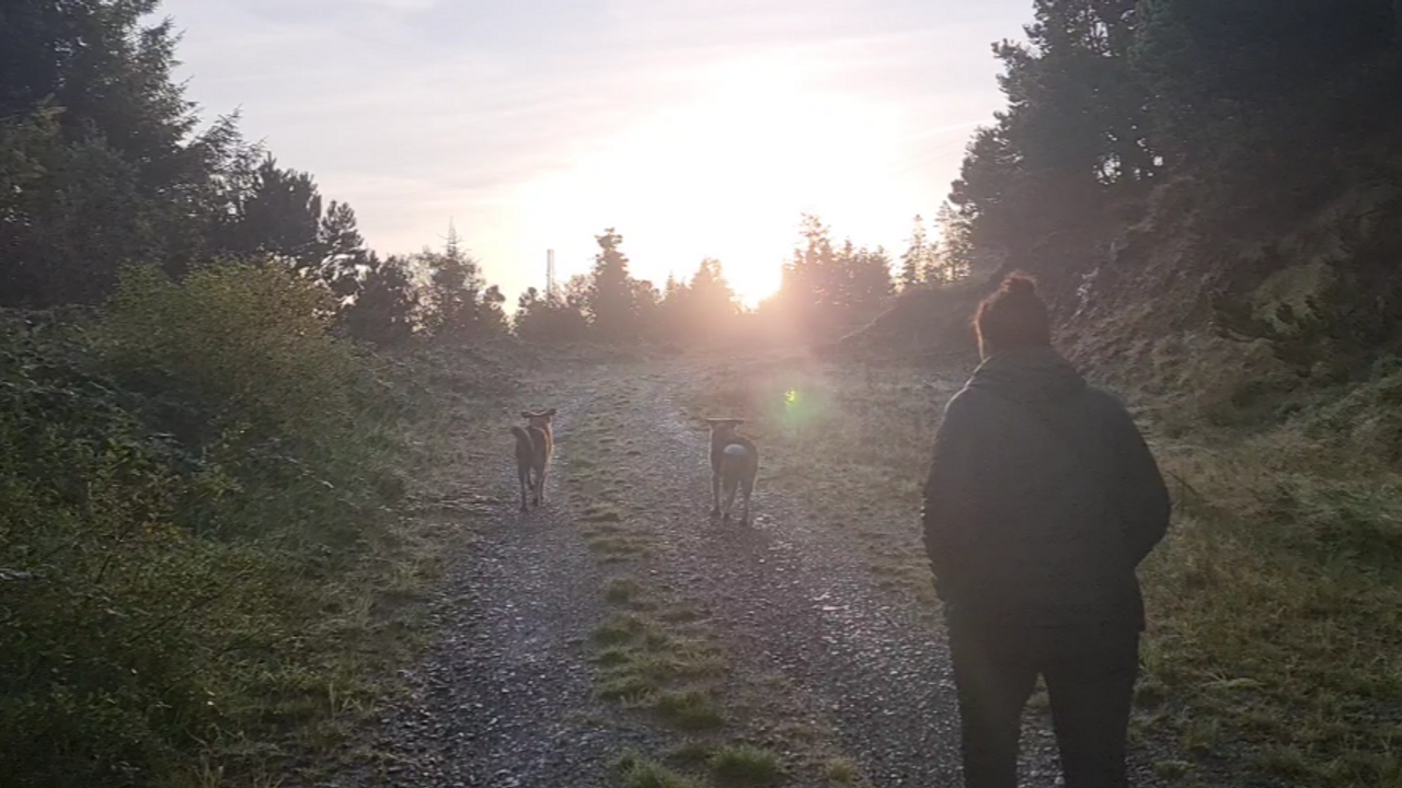 Morning Walk in Kilmaley With the Fellas