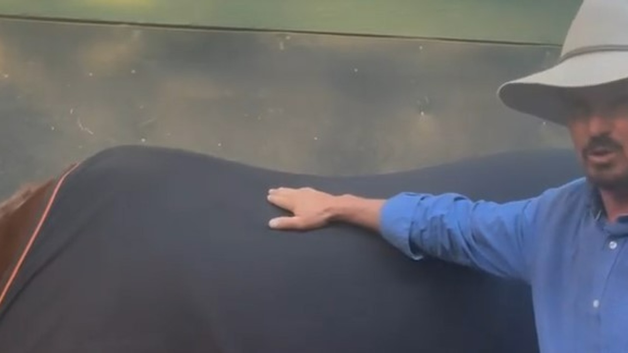 After hard work - the ionic Rambo rug system