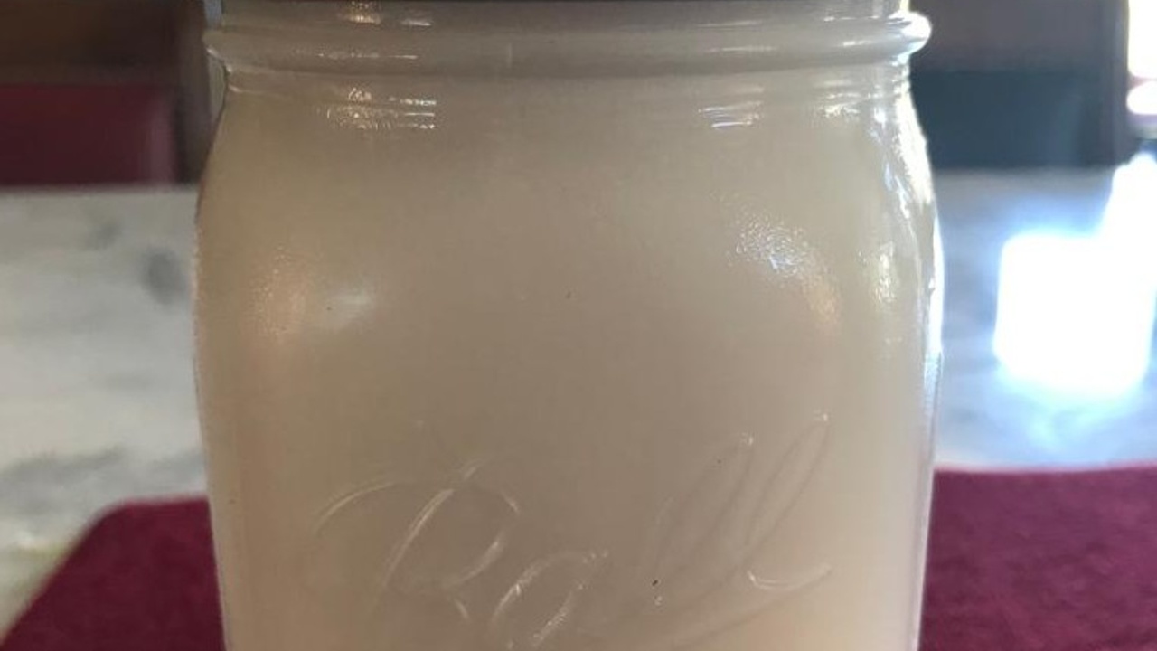 Seed Milk recipe, video & benefits