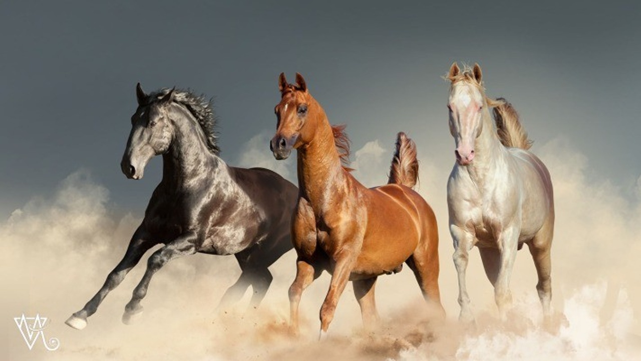 The Three Gunas: Revealing Your Greatness