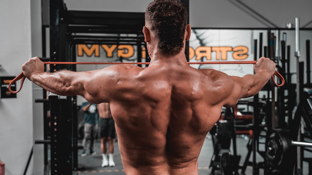 Back Jacked: How to build a Strong, Muscular, and Resilient Back