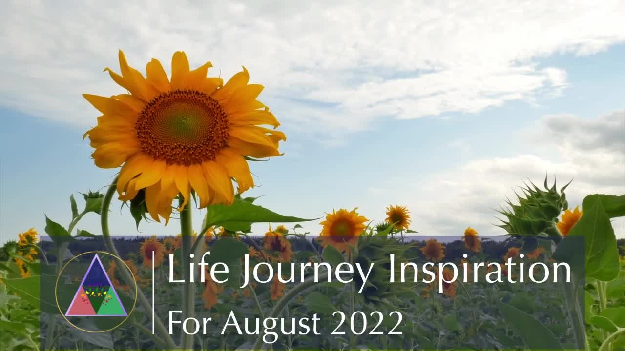 How to Align with August's Energy & Healing Opportunities
