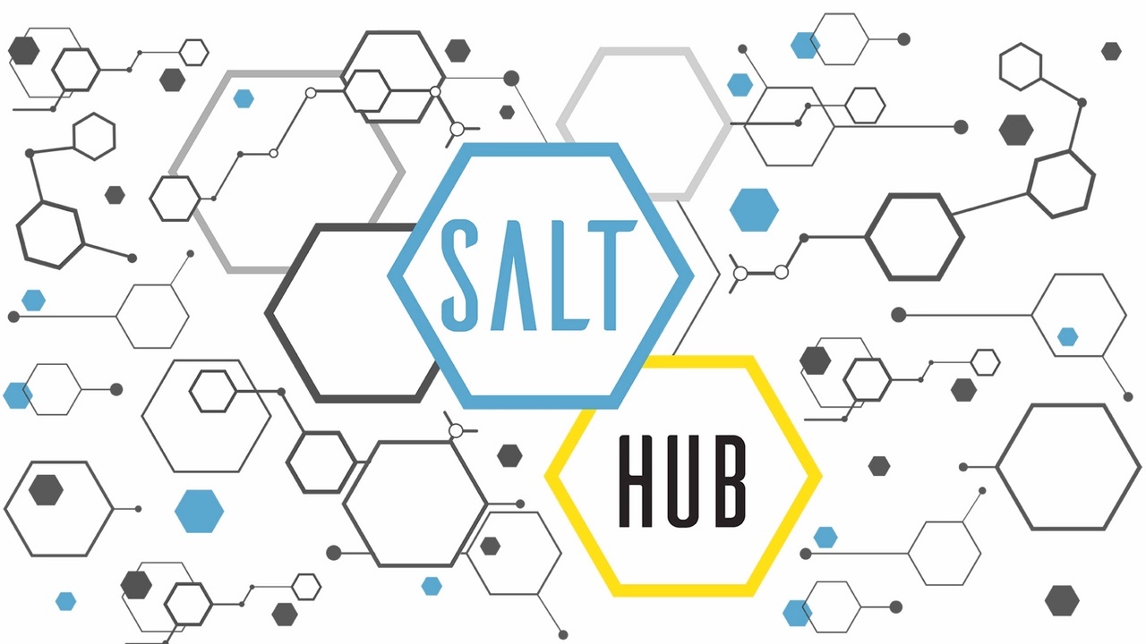 SALT HUB 7 -- How to Motivate Yourself in a Healthy Way by Taras Prystupa
