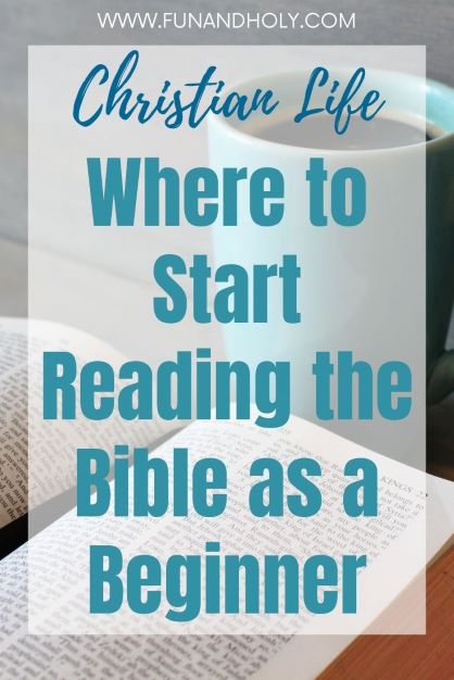 How To Read The Bible What Order To Read The Bible For Beginners 2022 