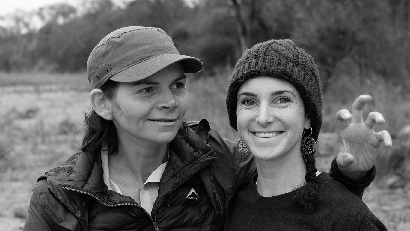 Biomimicry Careers Explained