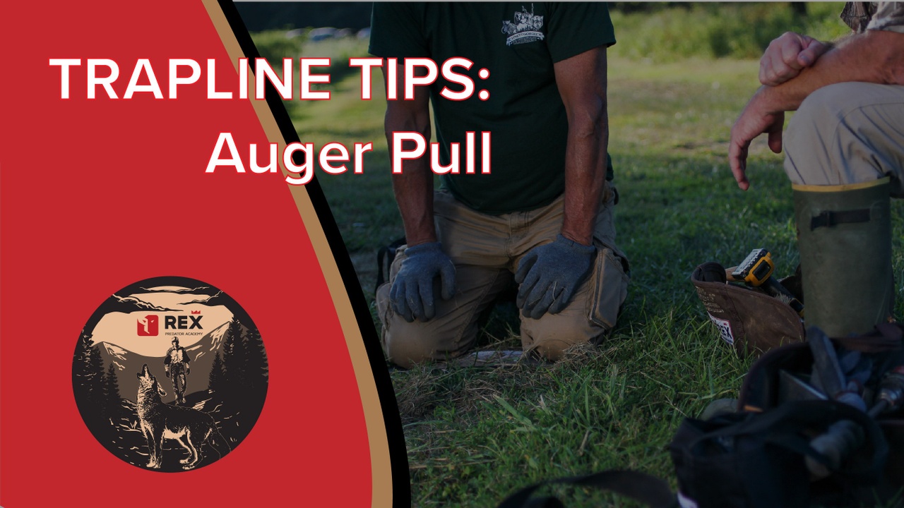 RPA Trapline Tips | Auger Pull | Learn to Trap