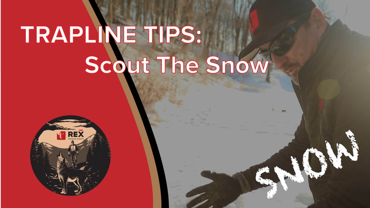 RPA Trapline Tips | Scout The Snow | Learn to Trap