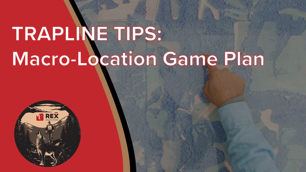 RPA Trapline Tips | Macro-Location Game Plan | Learn to Trap