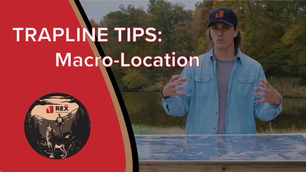 RPA Trapline Tips | More Macro-Location