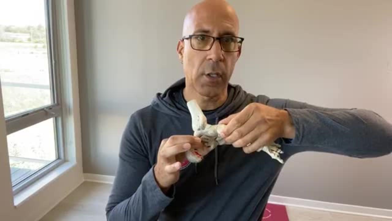 Exercises for Foot Arches