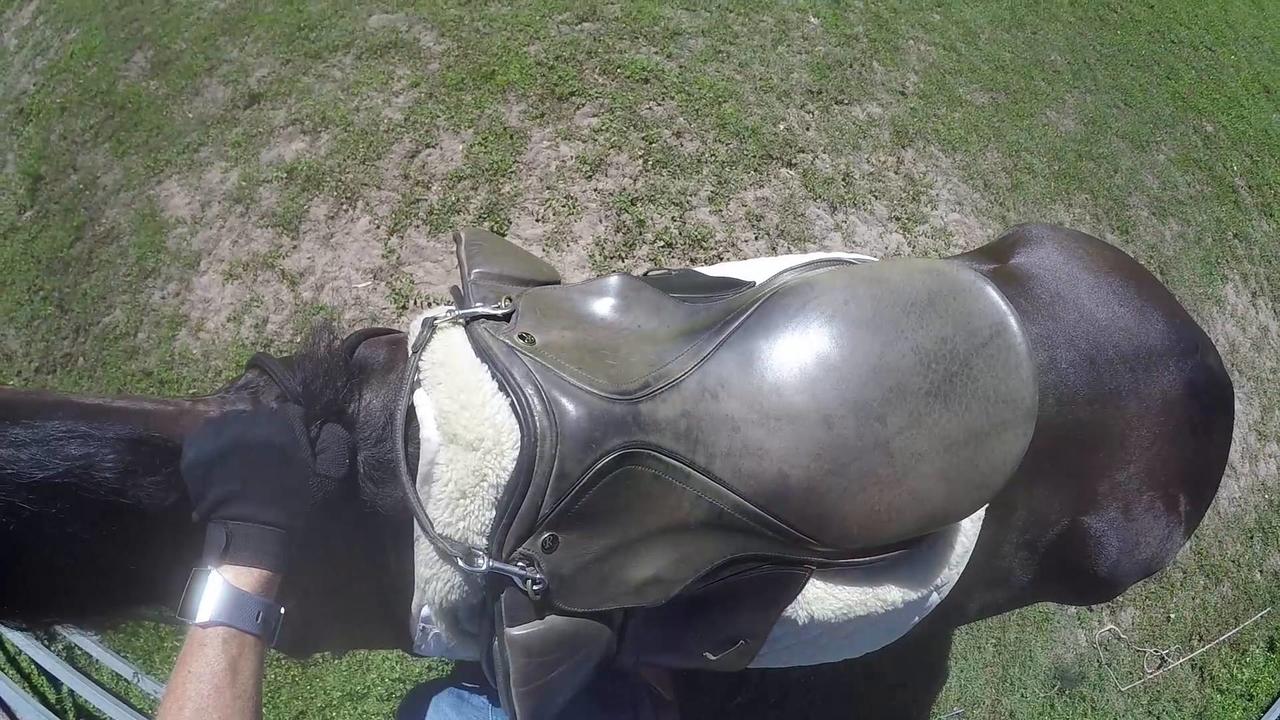 Preparing your horse for mounting