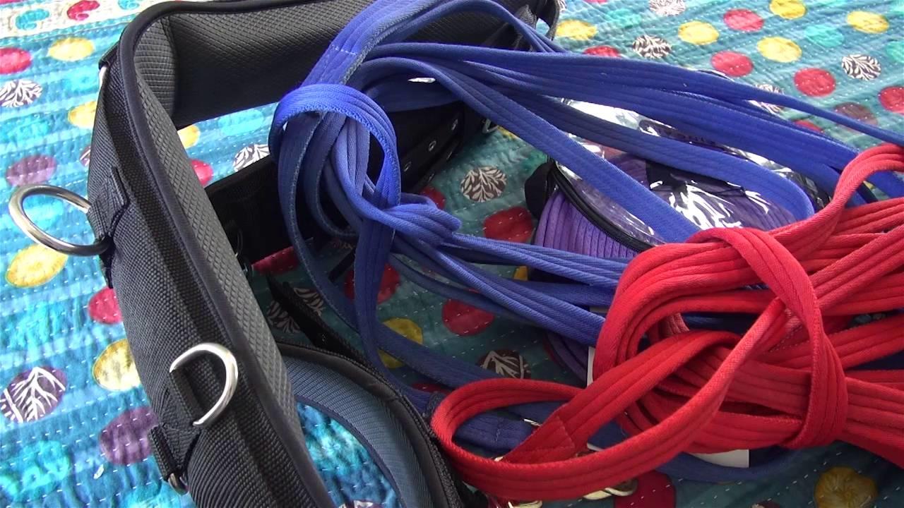 Long-reining equipment