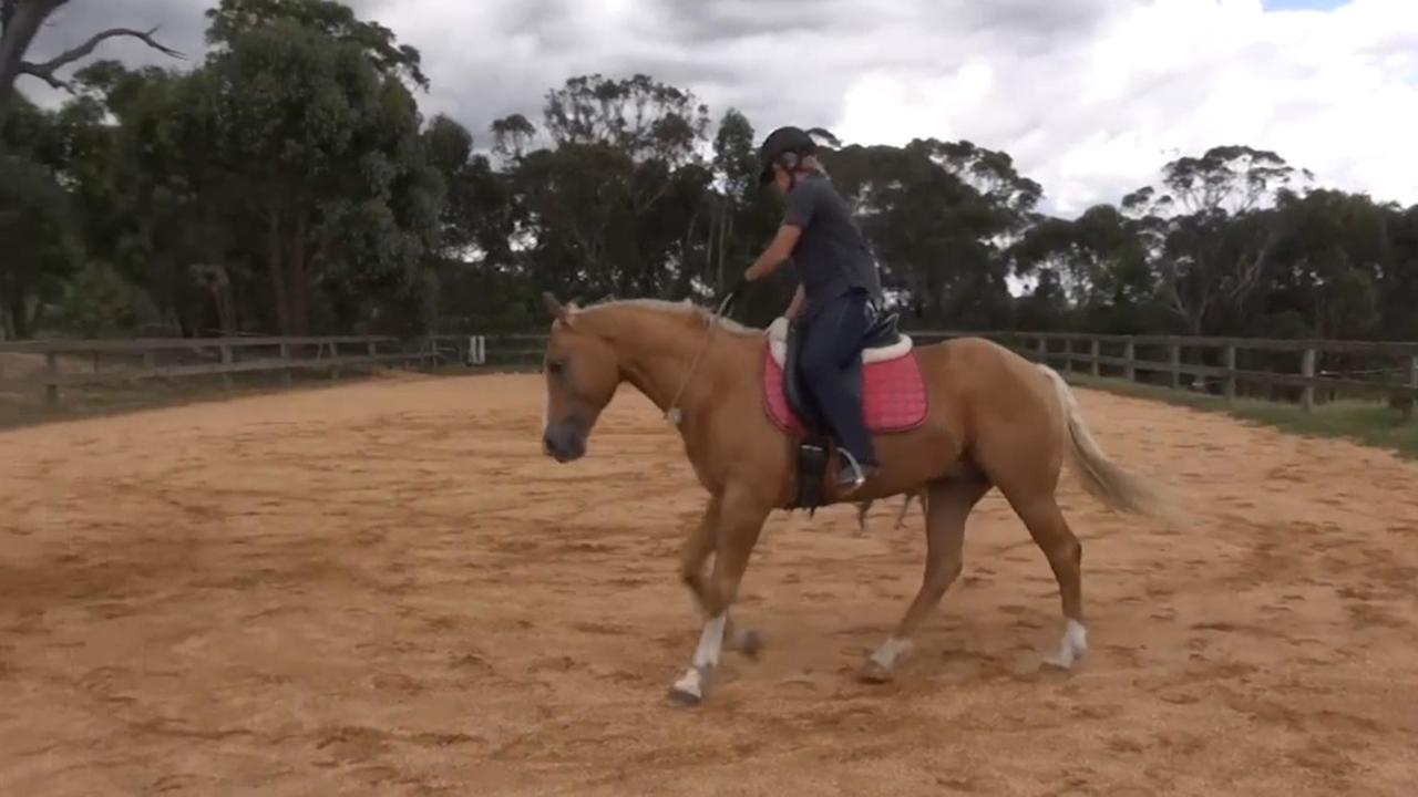 How To: Bridleless Riding