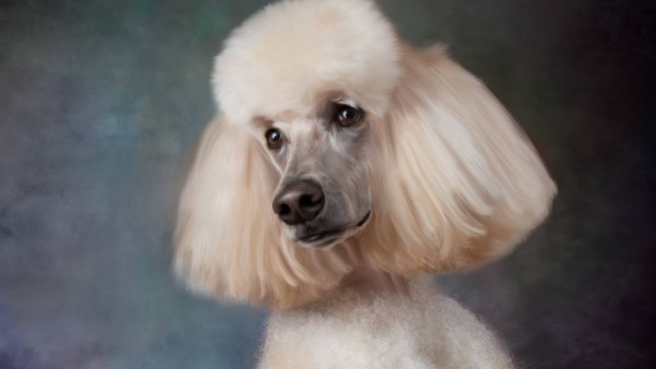 Not the Only Opinion