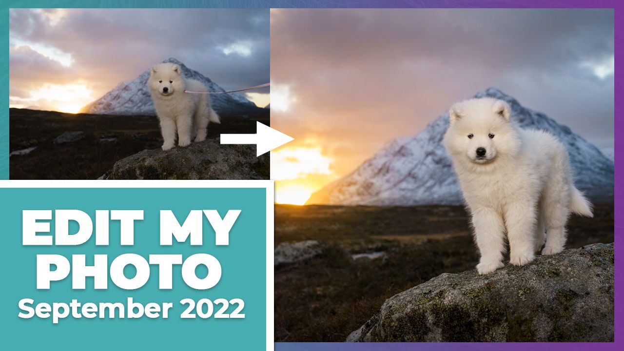 Unleashed Pet Photography Education