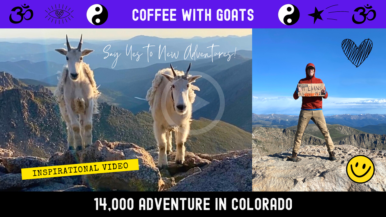 Coffee with goats at 14K