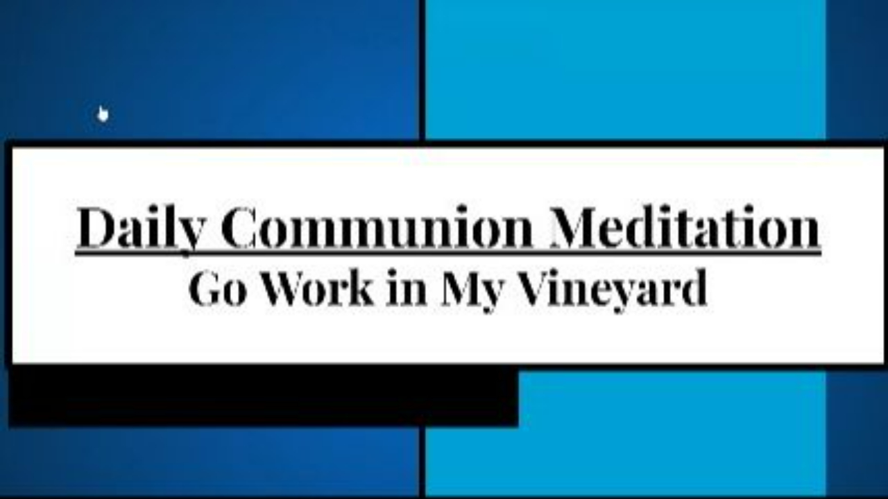 Go Work In My Vineyard