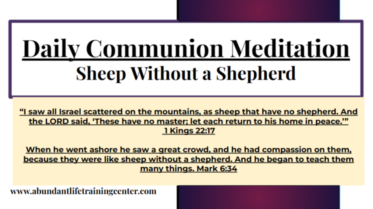 Sheep Without a Shepherd