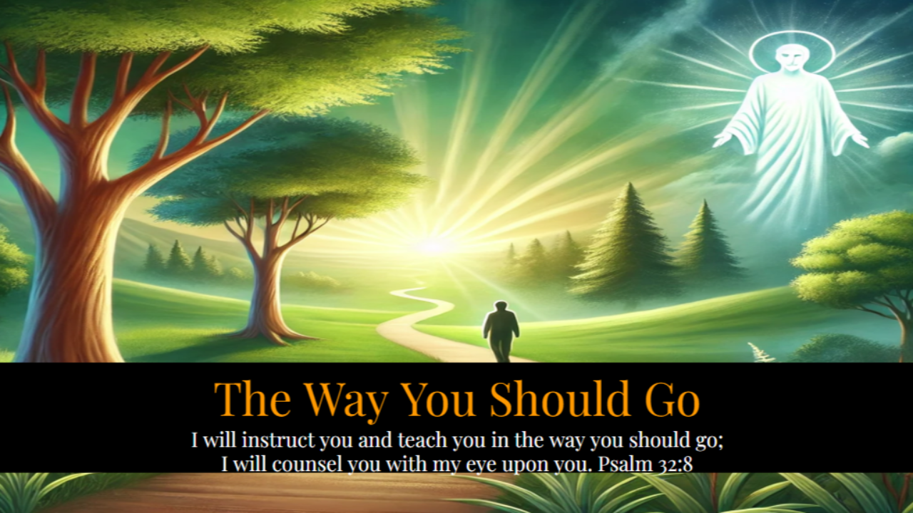 The Way You Should Go