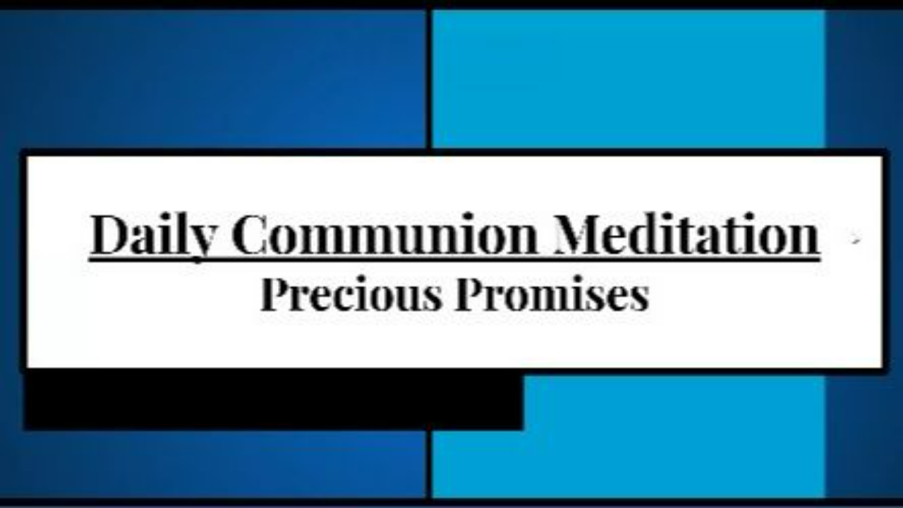 Precious Promises