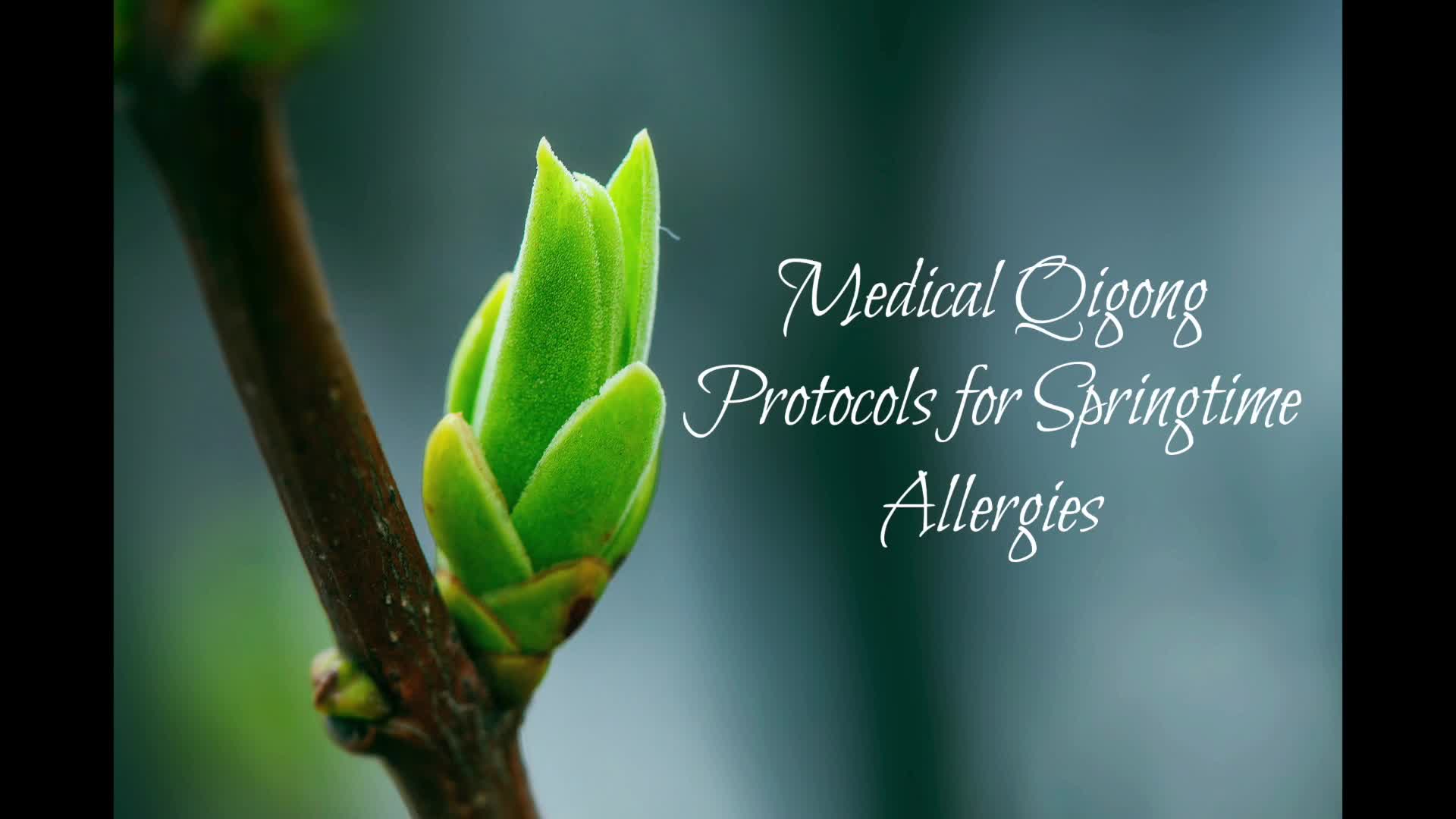 Qigong Help for Spring Allergies