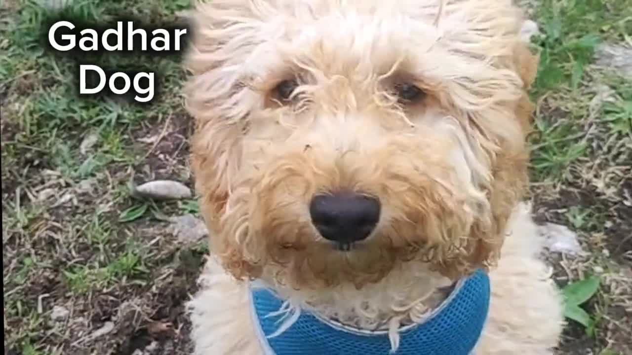 Learn Irish the Beginner Friendly Way - All About Irish