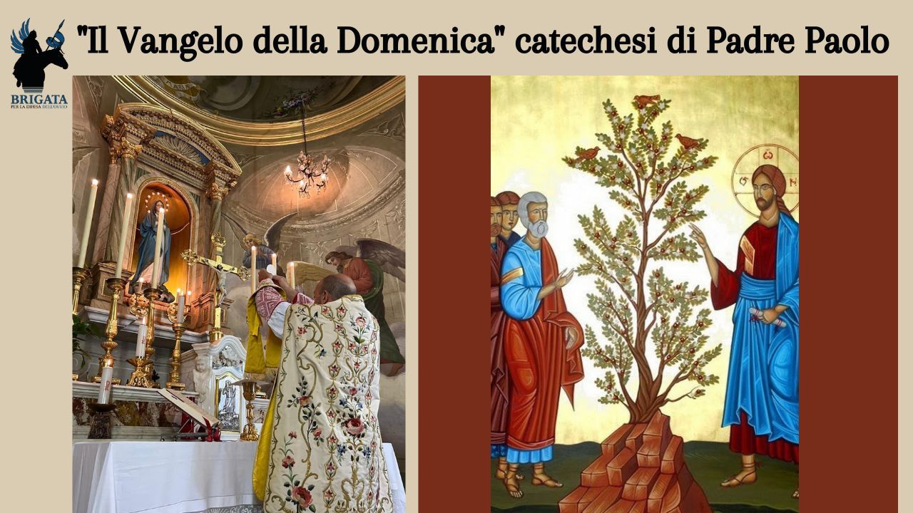 16 Giugno 2024 - XI Domenica del Tempo Ordinario "IL GRANELLO DI SENAPE"