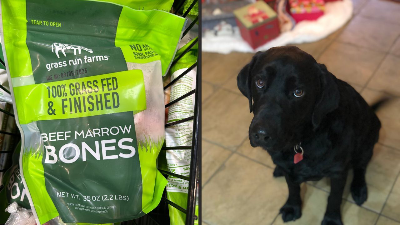 DIY Crushed Bones: Boost Your Dog’s Microbiome Naturally