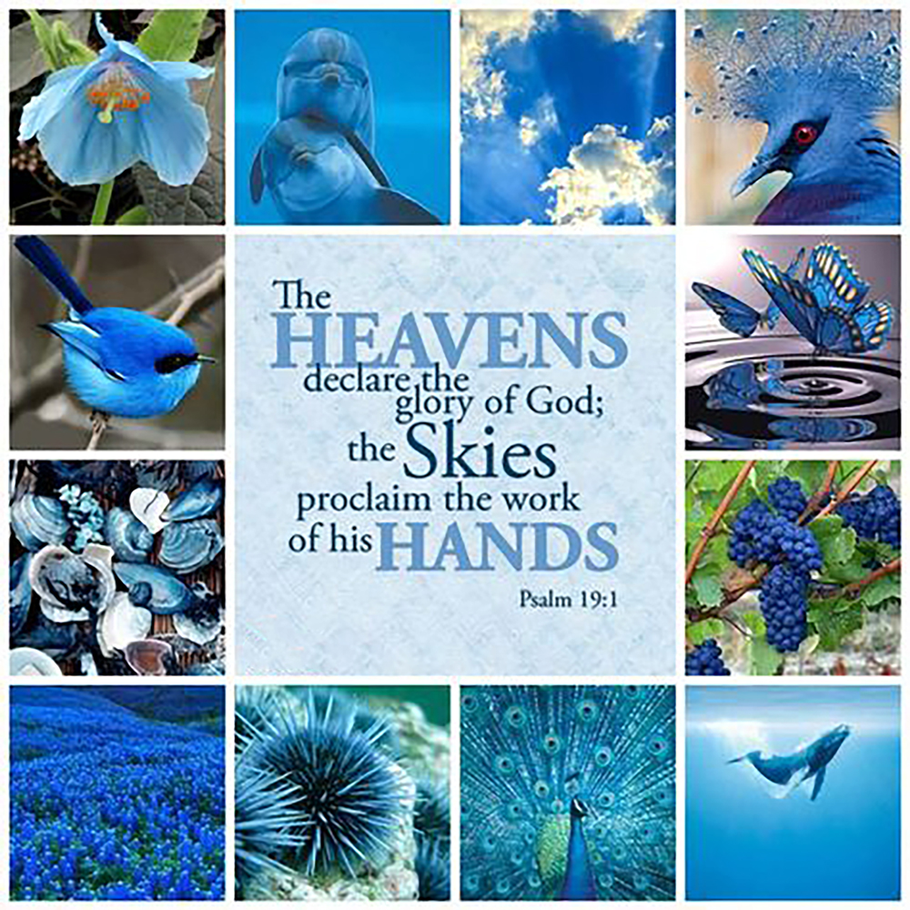 Layout Share: Show Me Royal Blue | DigitalScrapbook.com Digital ...