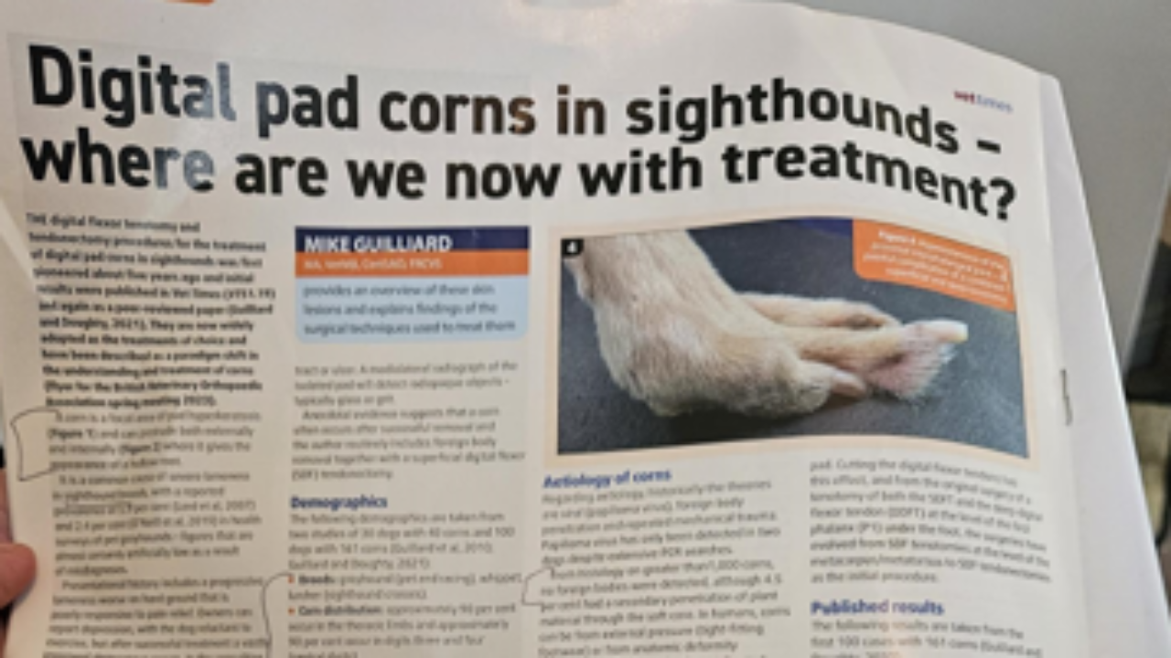 Vet Times article - Digital pad corns in sighthounds - where are we now?