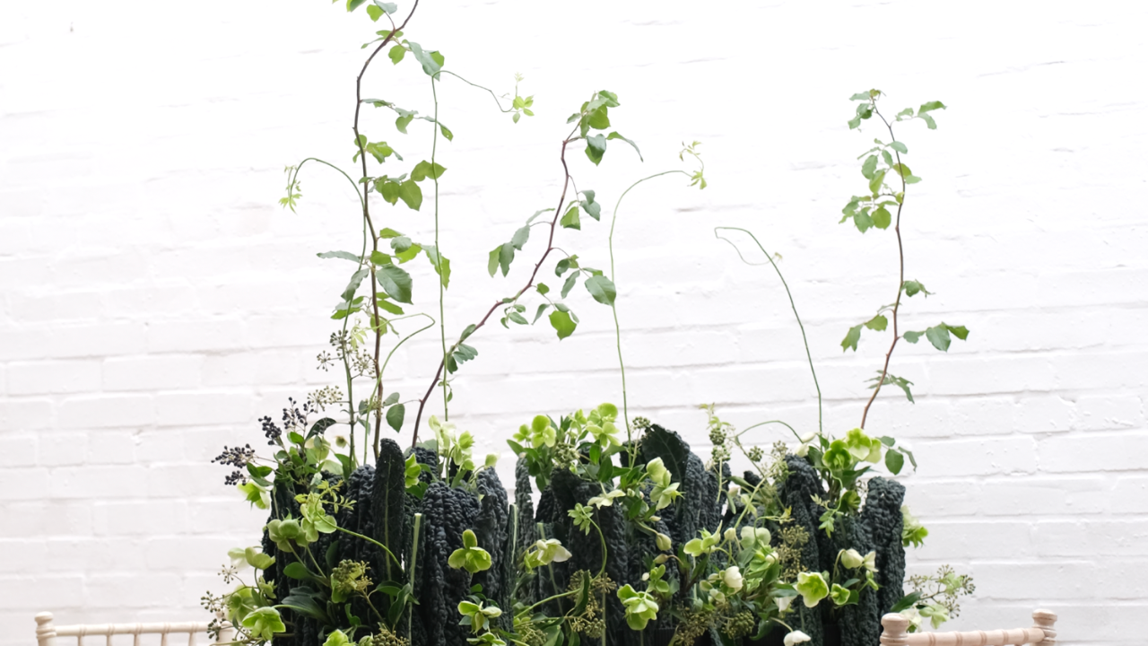 Welcome in 2026 with a Free Flower Class Lesson