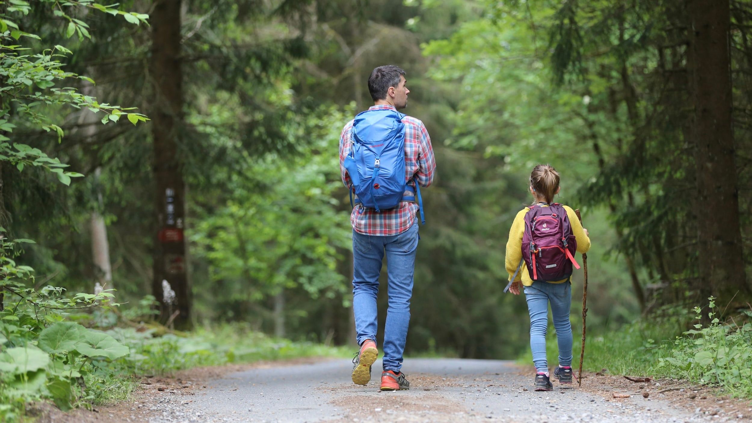 Low Demand Parenting A Journey Of 6 Steps Low Demand Parenting A Journey Of 6 Steps
