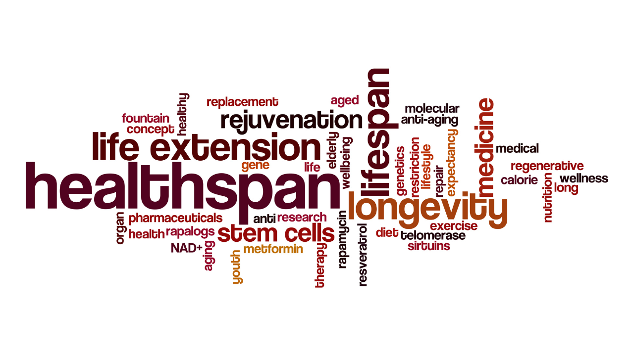 What s The Difference Between Health Span And Life Span What s The Difference Between Health Span And Life Span