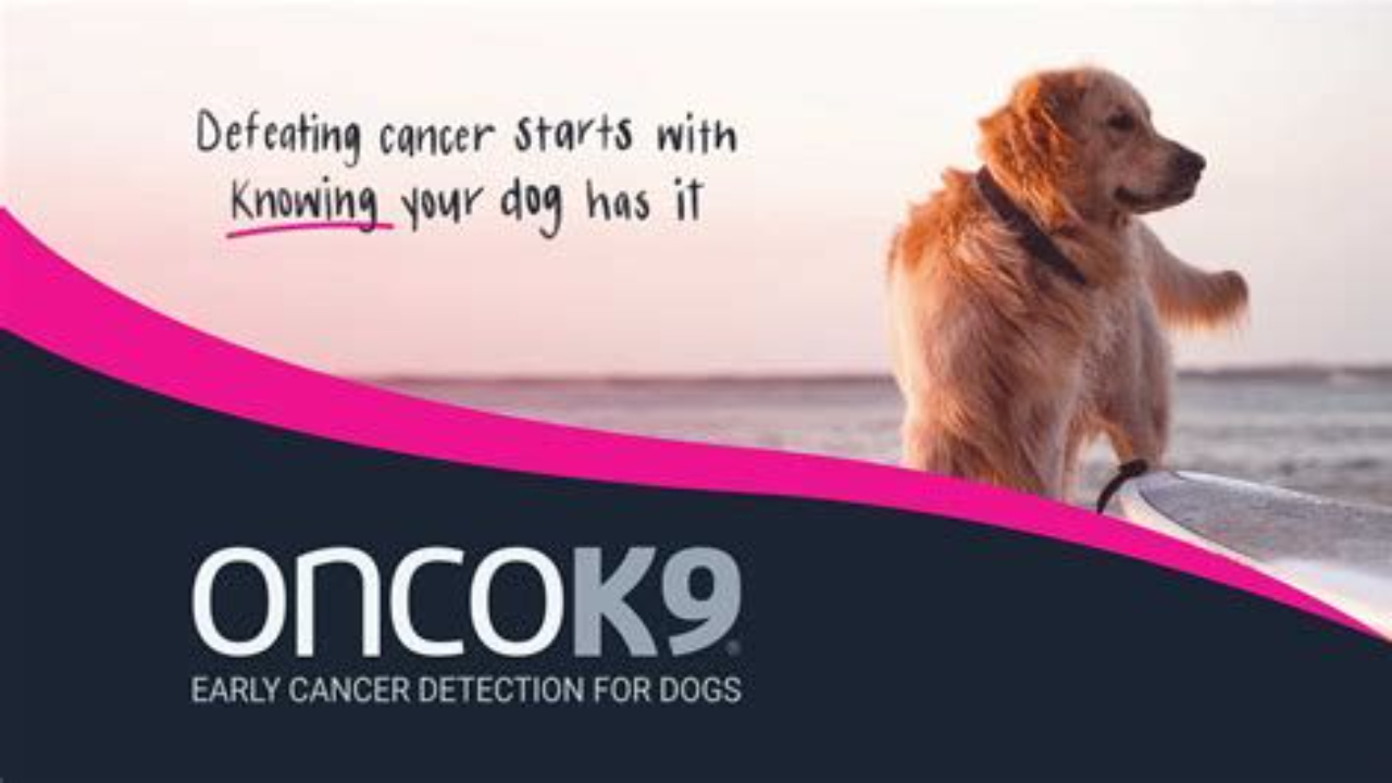 Blood Test for Early Screening of Cancer in Dogs