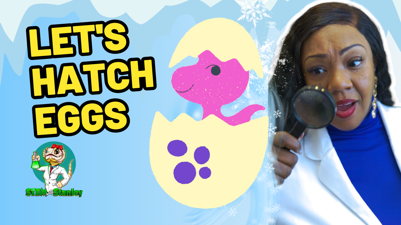 Frozen Fun: Hatching Dinosaur Eggs - A STEM Activity for Preschoolers