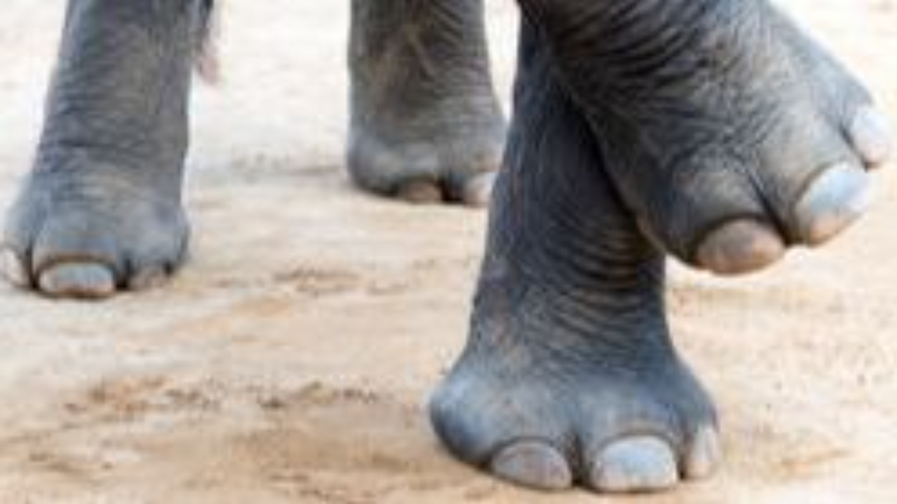 MAINTAINING BALANCE Meditation and Article