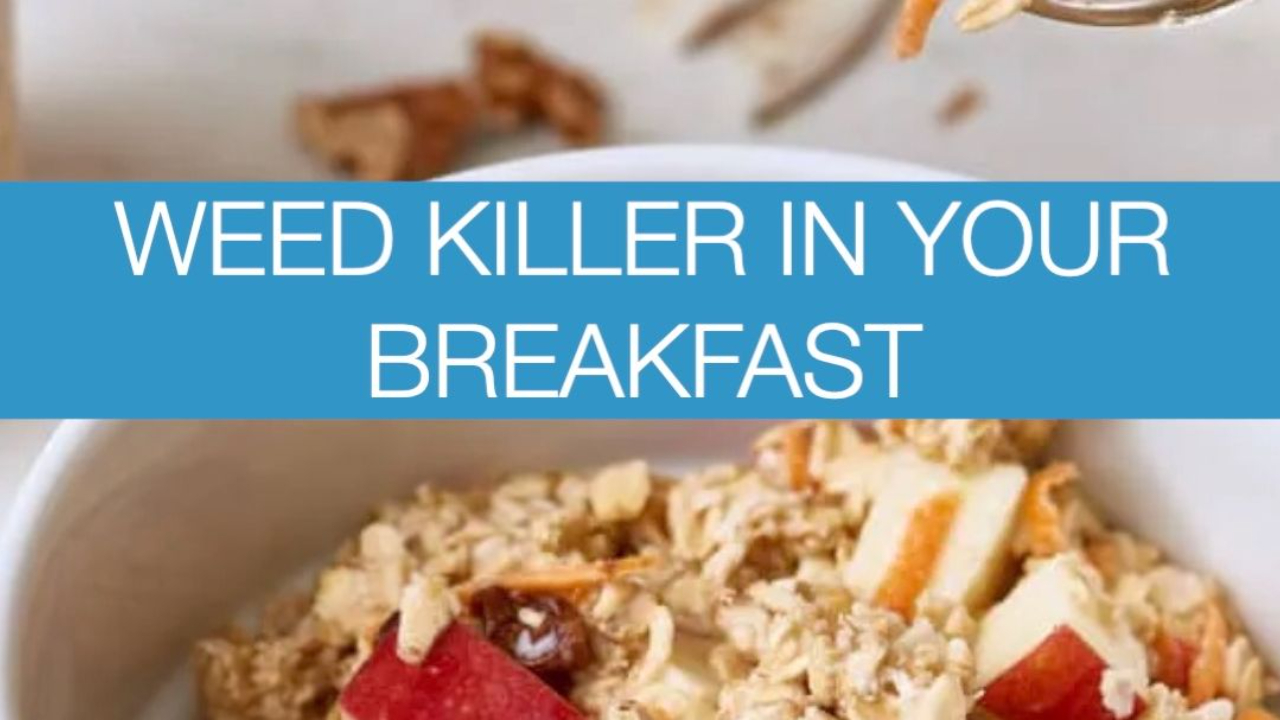 WEED KILLER in your BREAKFAST?