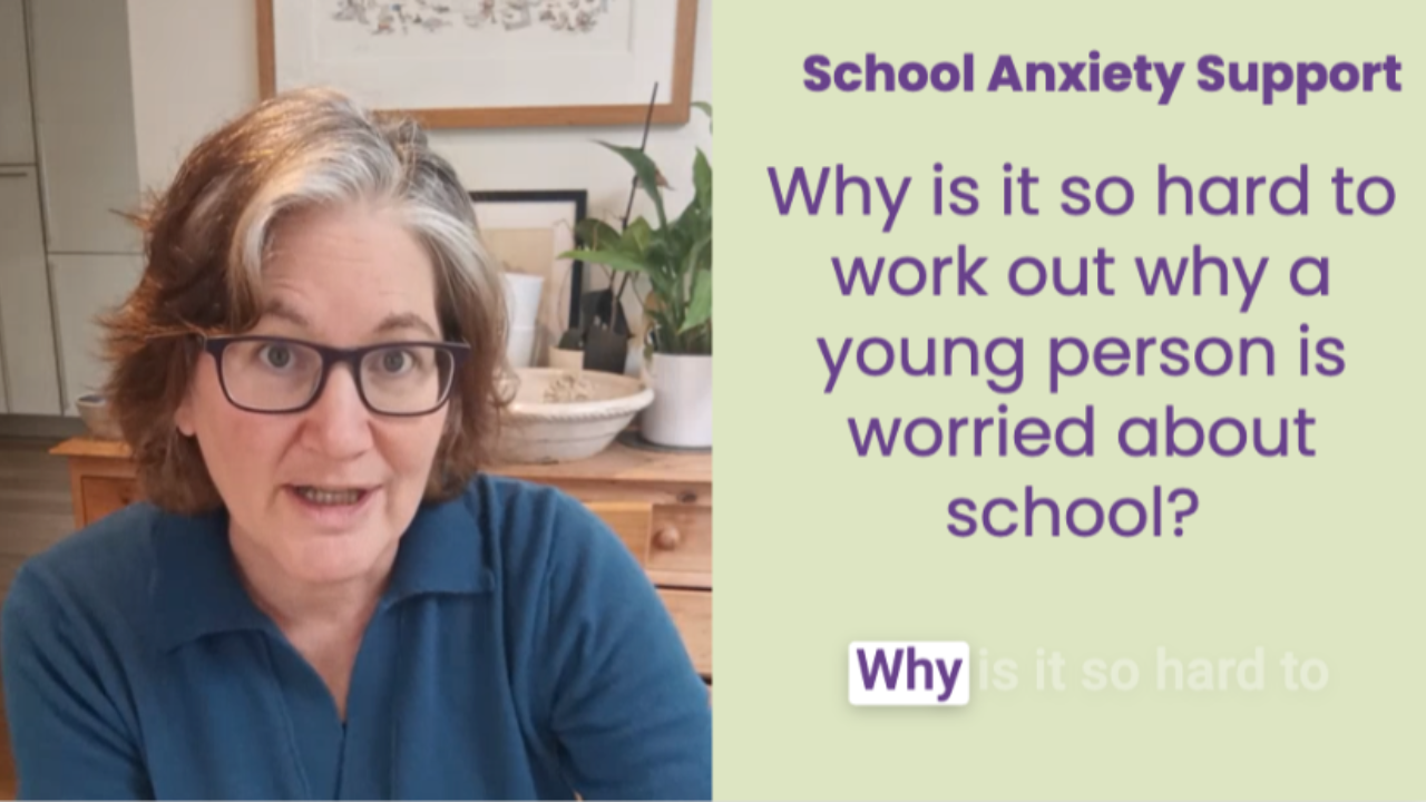 Why's it so hard to work out why a young person worries about school?