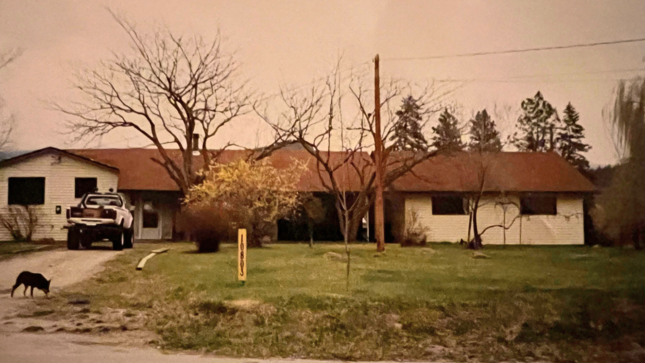 Little Mountain Ranch - Blog