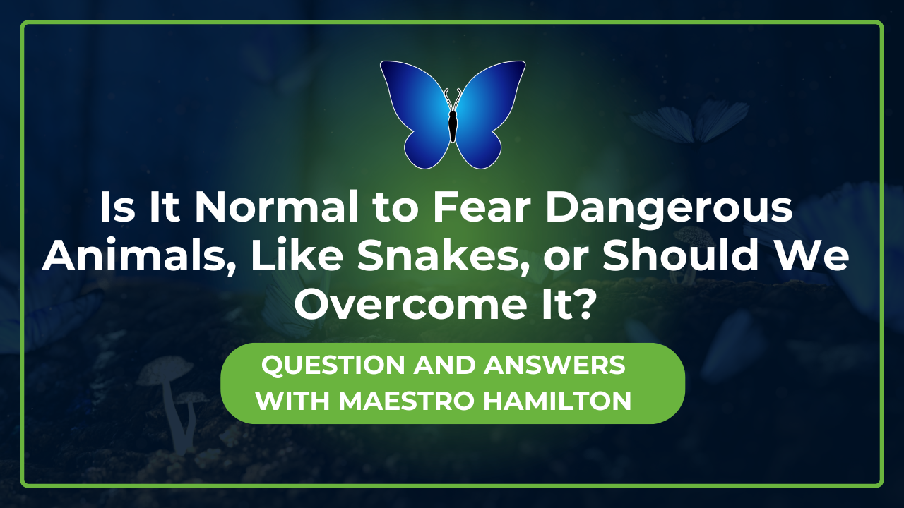 Is It Normal to Fear Dangerous Animals, Like Snakes, or Should We ...