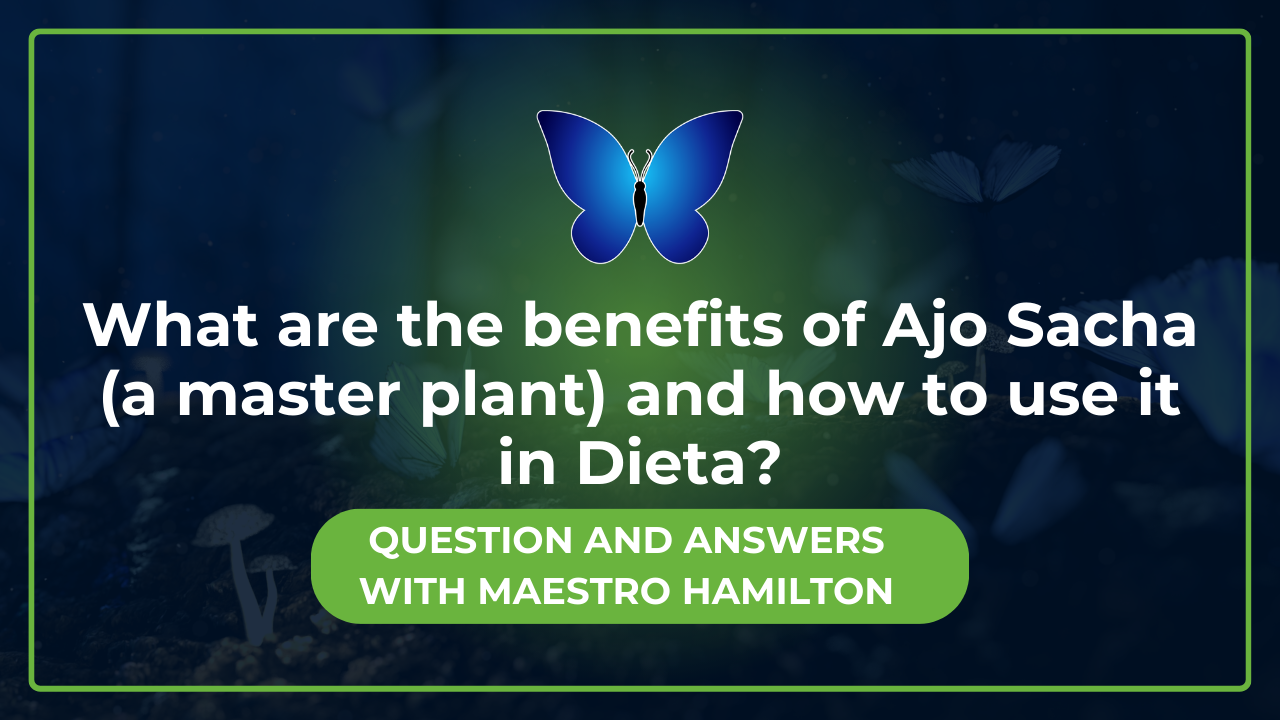 What are the benefits of Ajo Sacha (a master plant) and how to use it ...