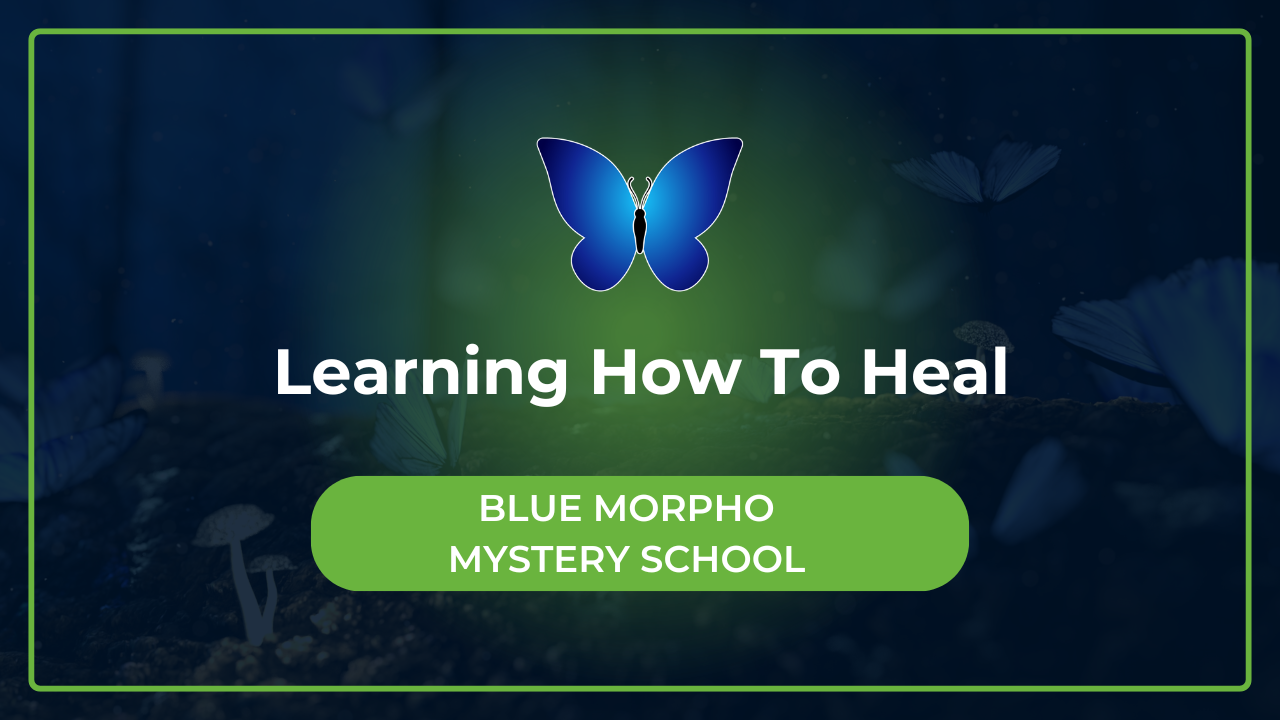 #14 Learning How To Heal