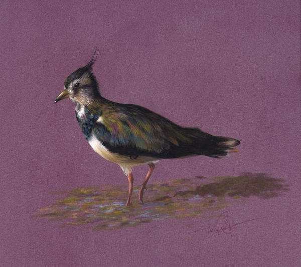 Desaturated Colour: A Quick Guide for Artists